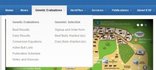 New ICBF Web Site - ICBF