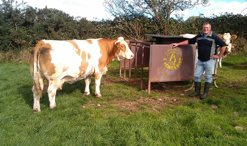 Gene Ireland Bull Breeder of the week - Tom O'Riordan, Ballyedmond ...
