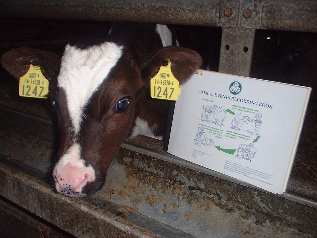 On-Farm Data Recording: A Farmer’s Guide - ICBF