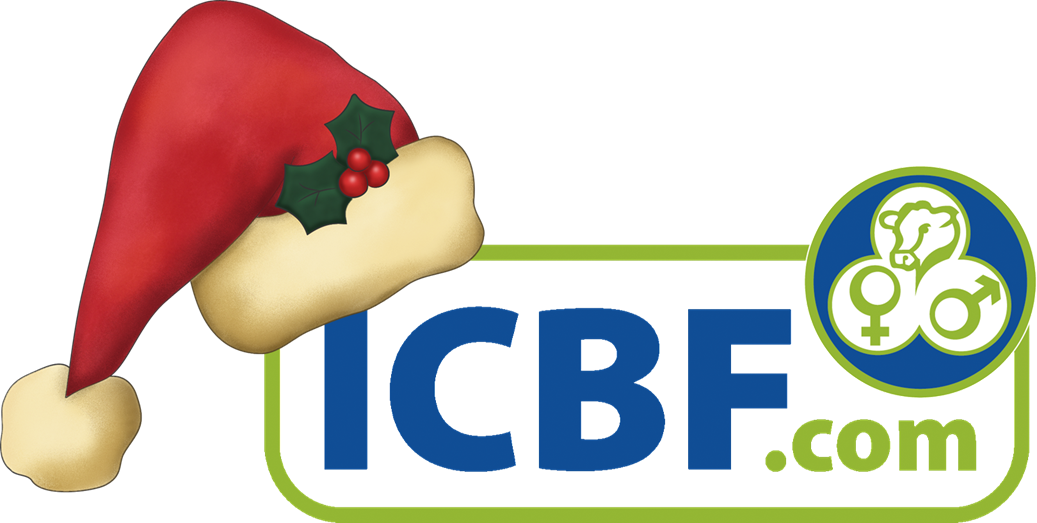 A Review of 2014 - ICBF