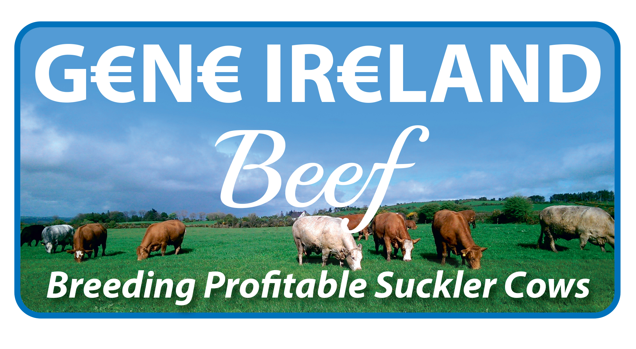 Beef Gene Ireland Launch - Autumn 2023 - ICBF