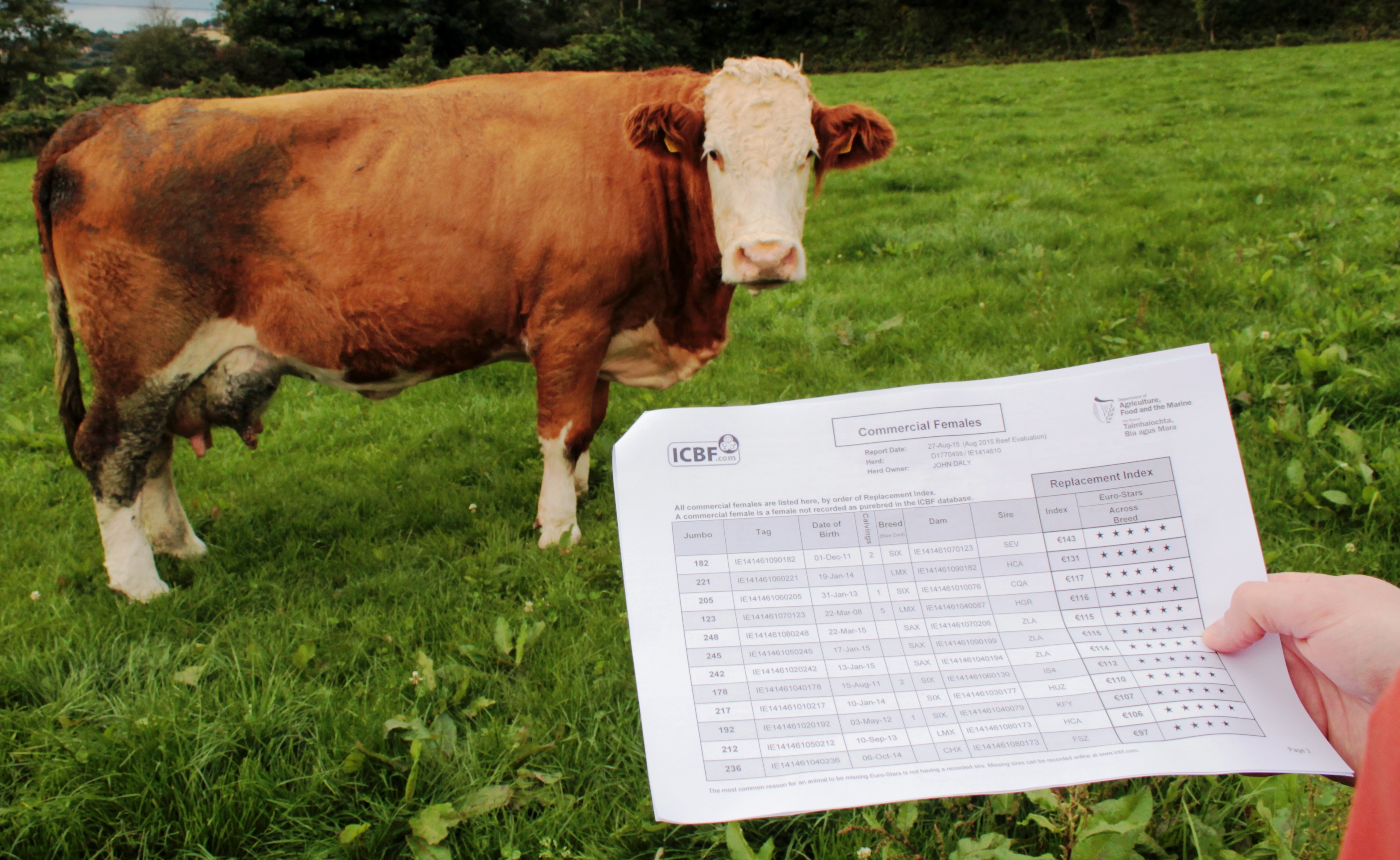 Beef Data Genomics Programme Icbf