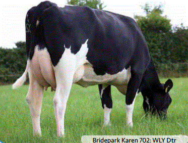 Dairy Active Bull List Spring 2016 - ICBF