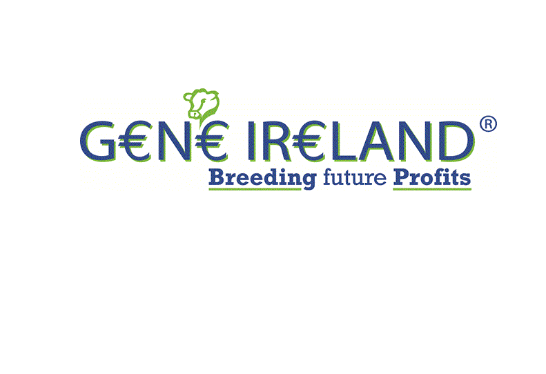 Autumn 2016 Gene Ireland Dairy Programme - ICBF