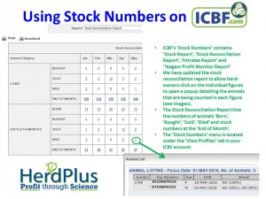 Using Stock Numbers on ICBF - ICBF