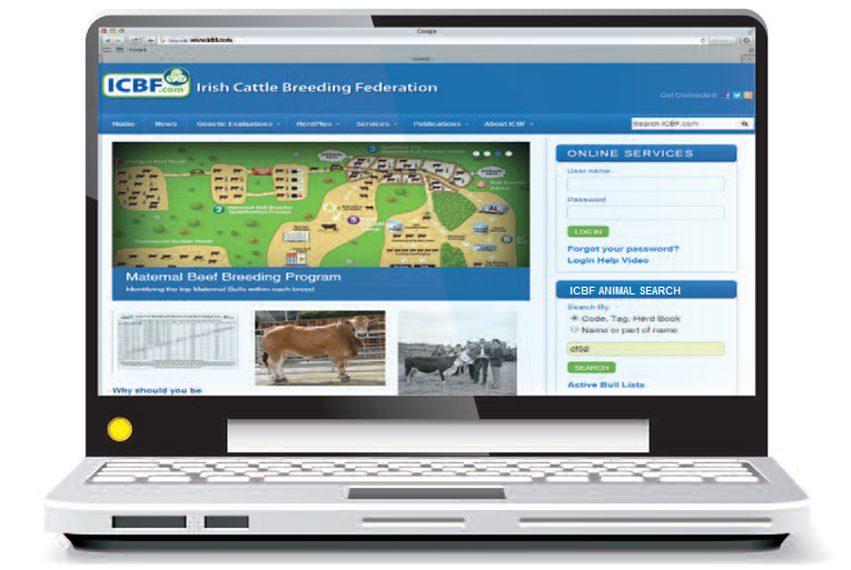 Animal Search predicted to hit over 4 million searches this year - ICBF