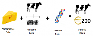Understanding Reliability and Genetic Index - ICBF