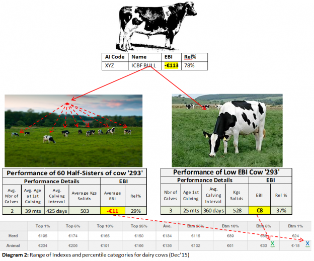 Why does one of my best cows have a poor Index? - ICBF