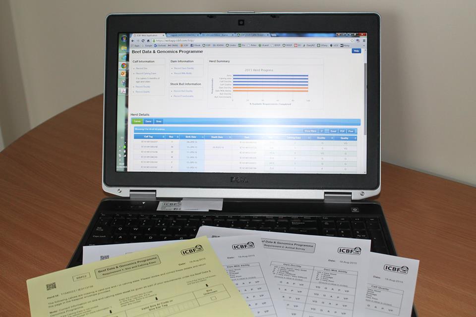 Bdgp Ii Tag Selection Deadline Sunday 8th October Icbf