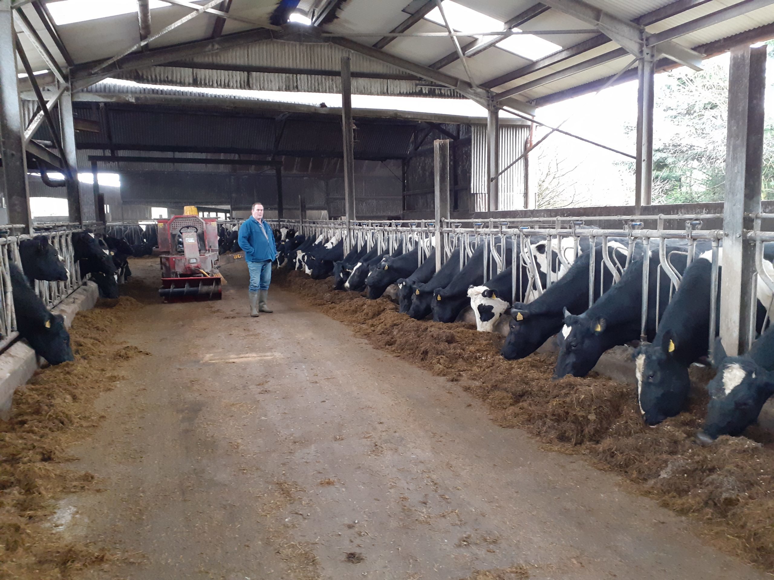 FBD Best Dairy Herd Finalist - "Milk recording is an essential tool for ...