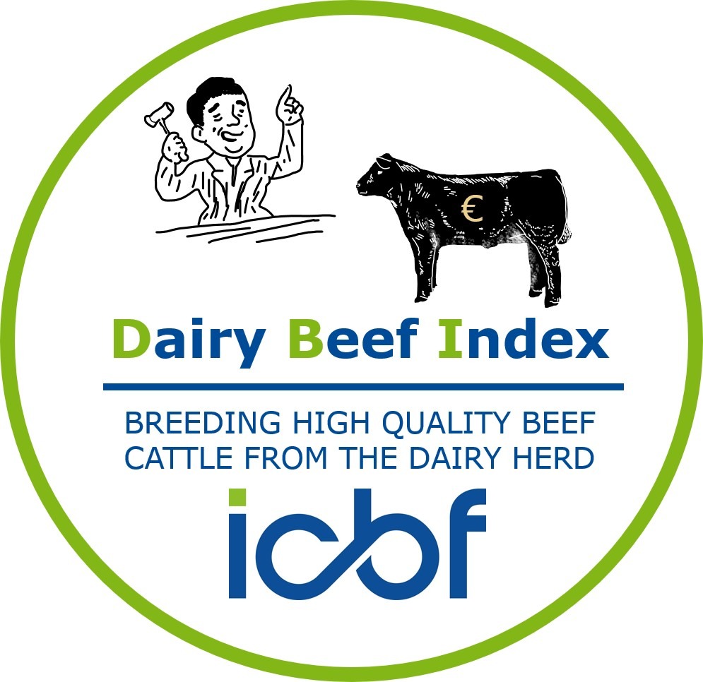 Dairy Beef Index (DBI) - ICBF