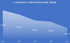 Beef Cow Population by County 2017-2021 - ICBF