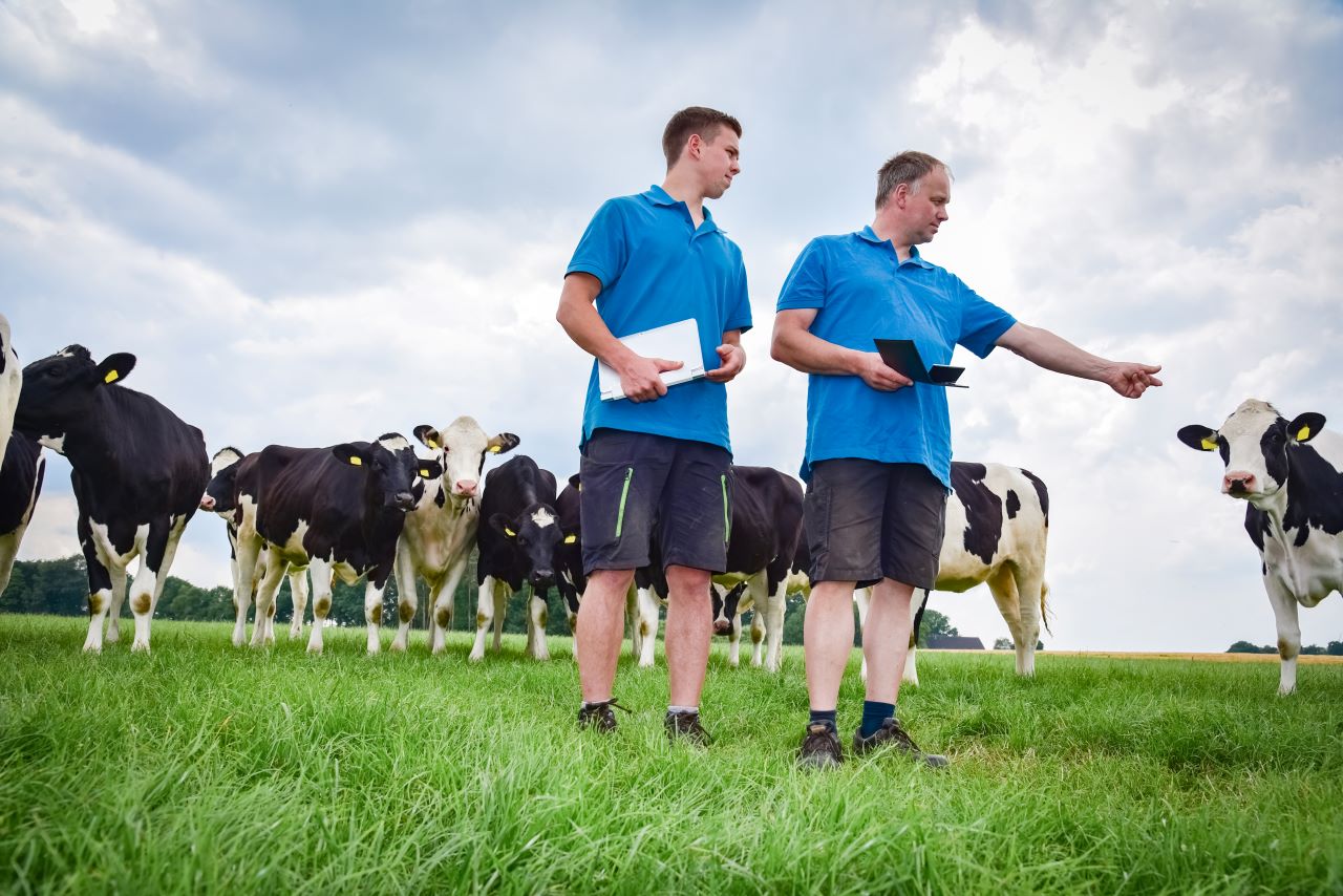 New Body Condition Score Profile Launched - ICBF