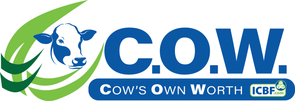 Make informed culling decisions with the C.O.W. - ICBF