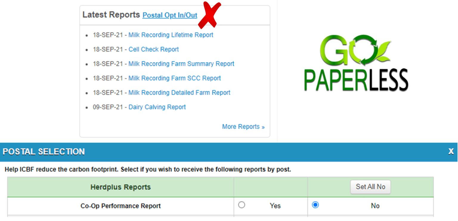 New Co-op Profile Now Available! - ICBF