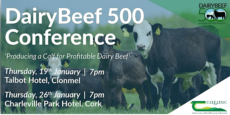 Dairy Beef 500 Conference - ICBF