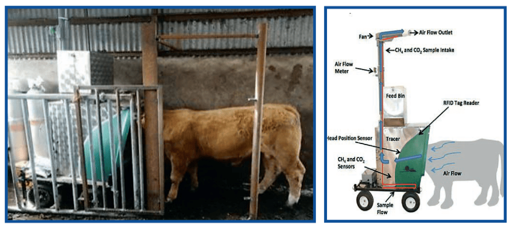 Tully – leading the breeding solution on methane emissions - ICBF