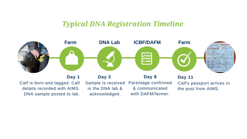 National Genotyping Programme - ICBF
