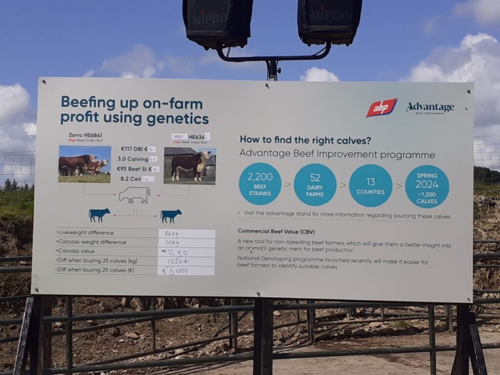 ABP Demonstration Farm Open Day - ICBF