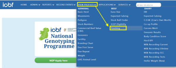 NEW Beef Finishing Profile now available on HerdPlus - ICBF