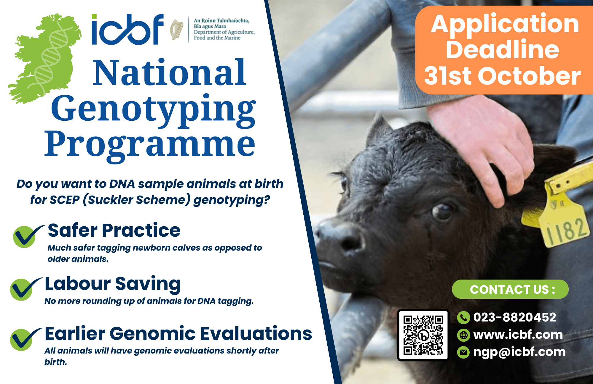 NGP Application Deadline Extended to 31st October 2023 - ICBF