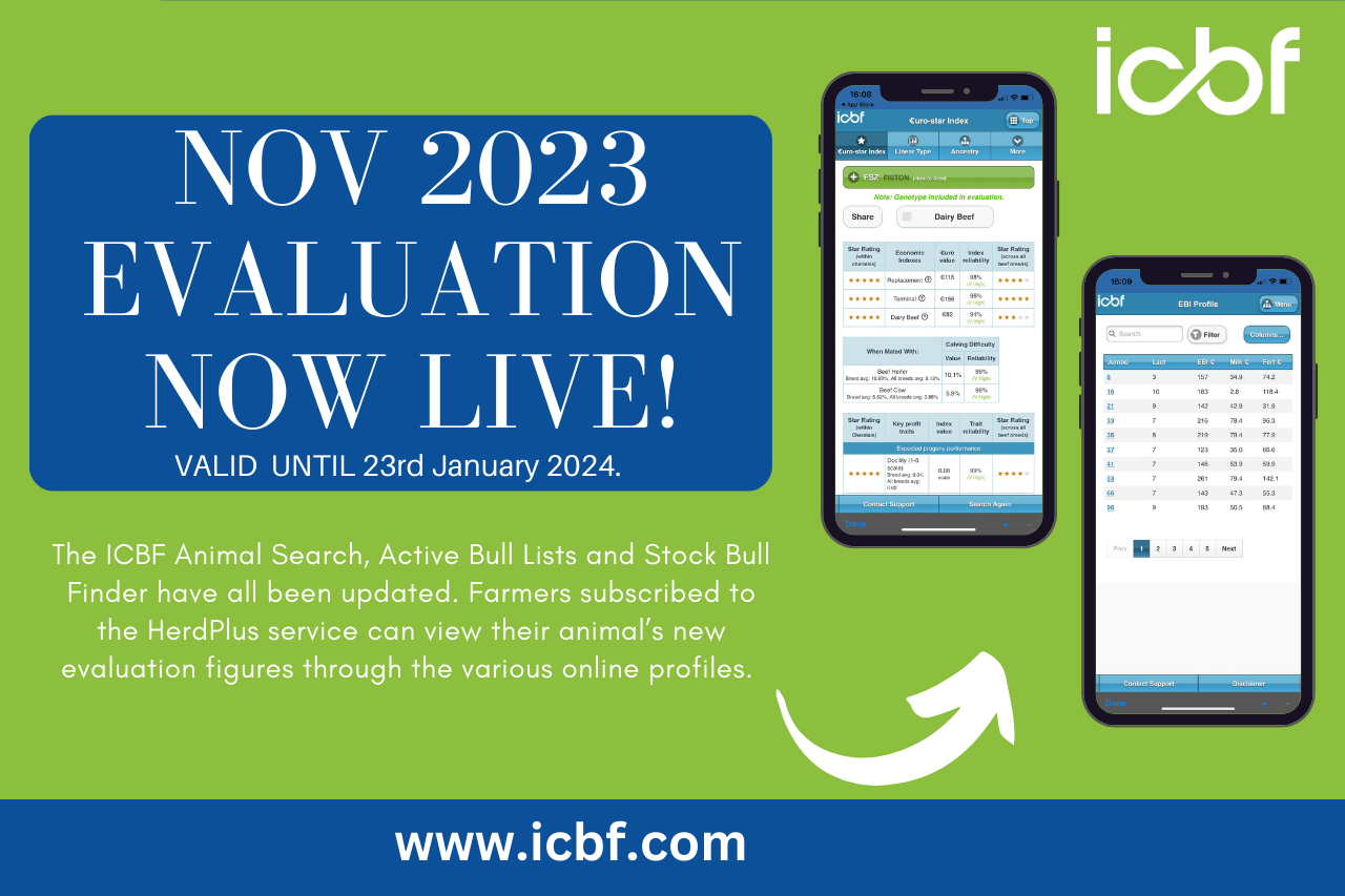 November Evaluation Now Live! - ICBF