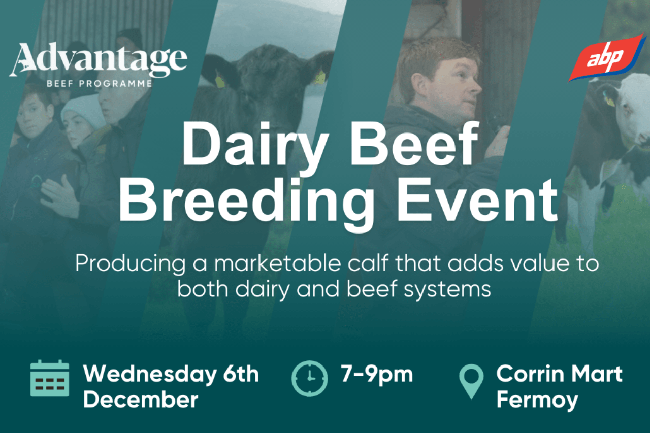 ABP Dairy Beef Breeding Event - ICBF