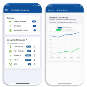 ICBF launches new App - ICBF HerdPlus – Download today for FREE! - ICBF
