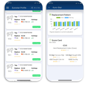 ICBF launches new App - ICBF HerdPlus – Download today for FREE! - ICBF