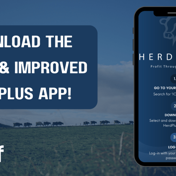 Euro-Star Index Explained - ICBF