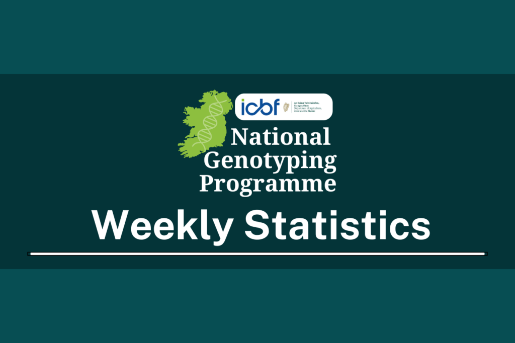 Welcome to ICBF, Ireland's centralised cattle breeding database