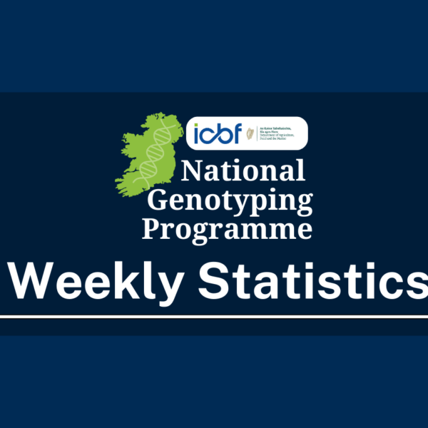 The Icbf Mart Tracker Is Now Live Icbf