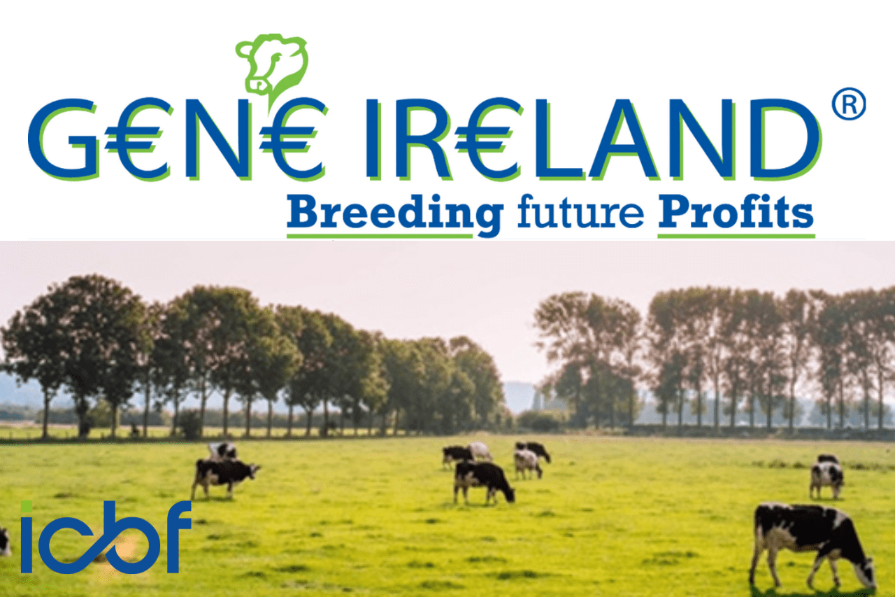 Dairy G€N€ IR€LAND Update- 17,431 straws ordered - ICBF