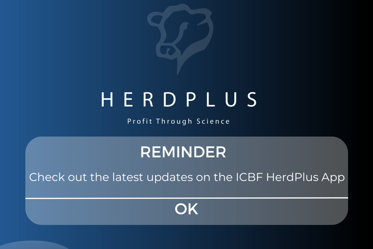 Have you seen the latest updates to the ICBF HerdPlus App? - ICBF