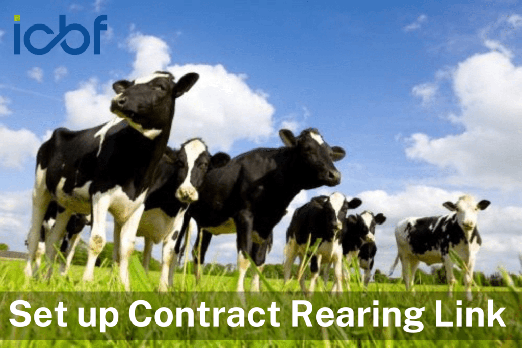 Welcome to ICBF, Ireland's centralised cattle breeding database