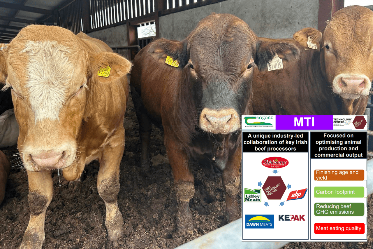 BEEF2024 - Genetic Improvement: MTI's commitment to sustainability from ...