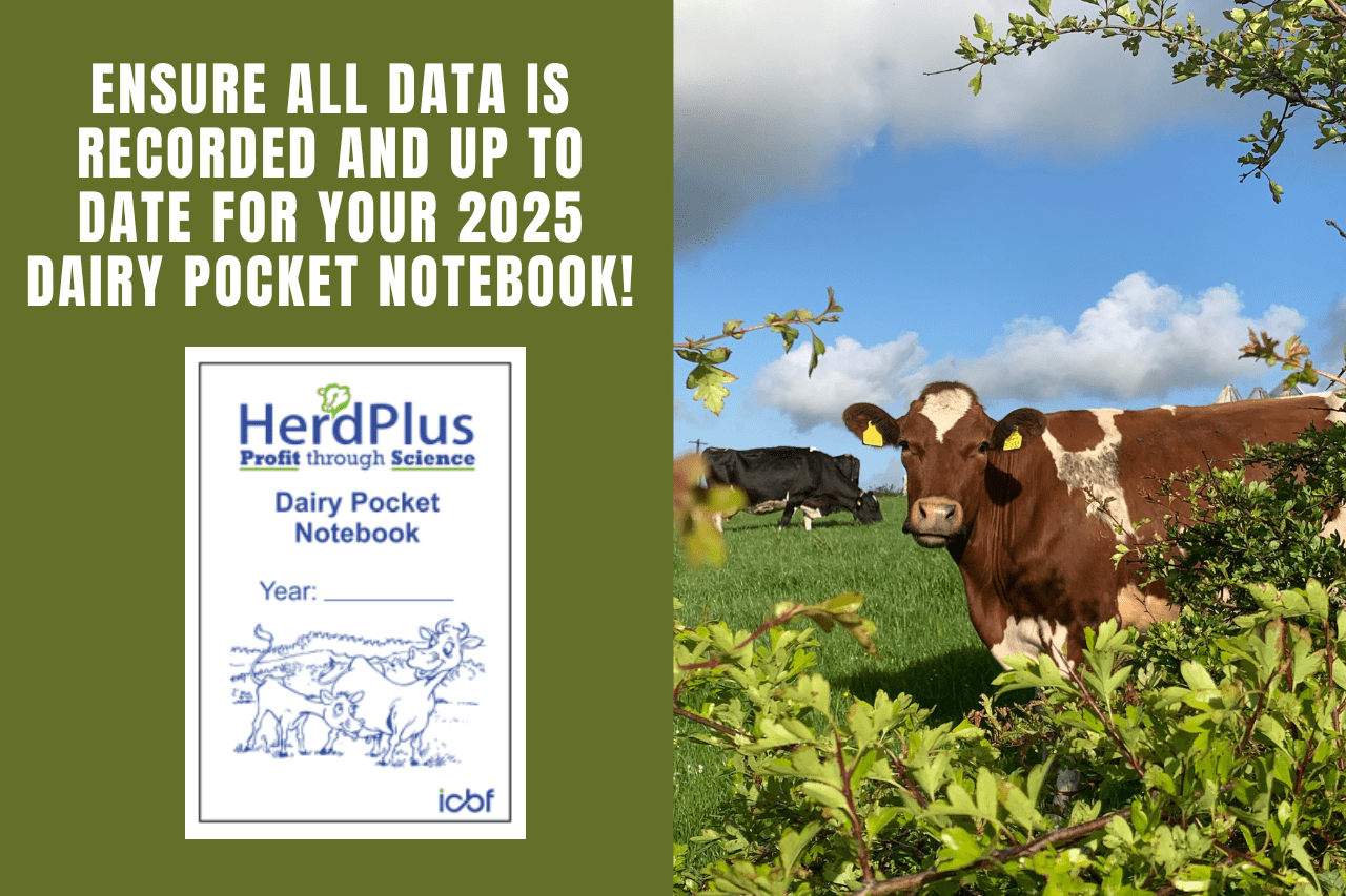 Ensure all data is recorded and up to date for your 2025 Dairy Pocket ...