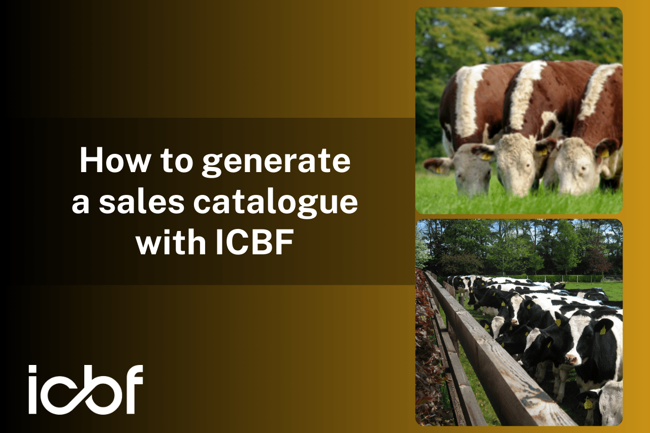 How to generate a sales catalogue with ICBF - ICBF