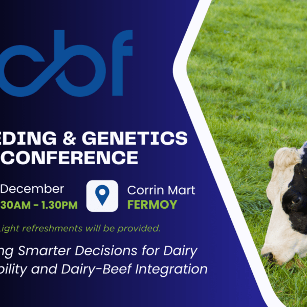 Euro-Star Index Explained - ICBF