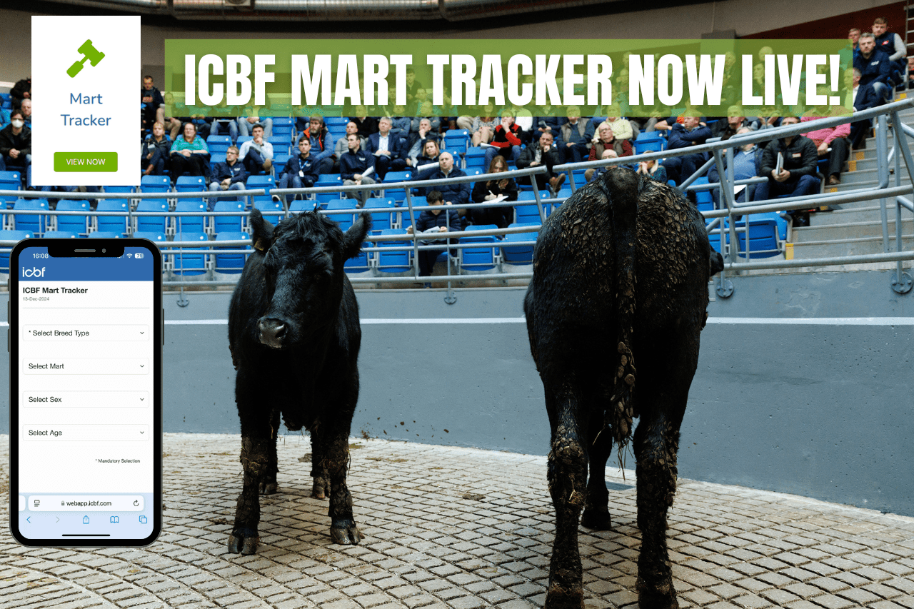 The Icbf Mart Tracker Is Now Live Icbf