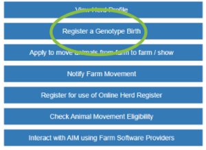 NGP: How to Register calves on Agfood.ie - ICBF