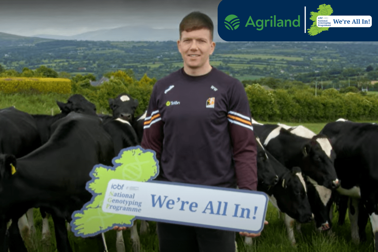 Welcome to ICBF, Ireland's centralised cattle breeding database