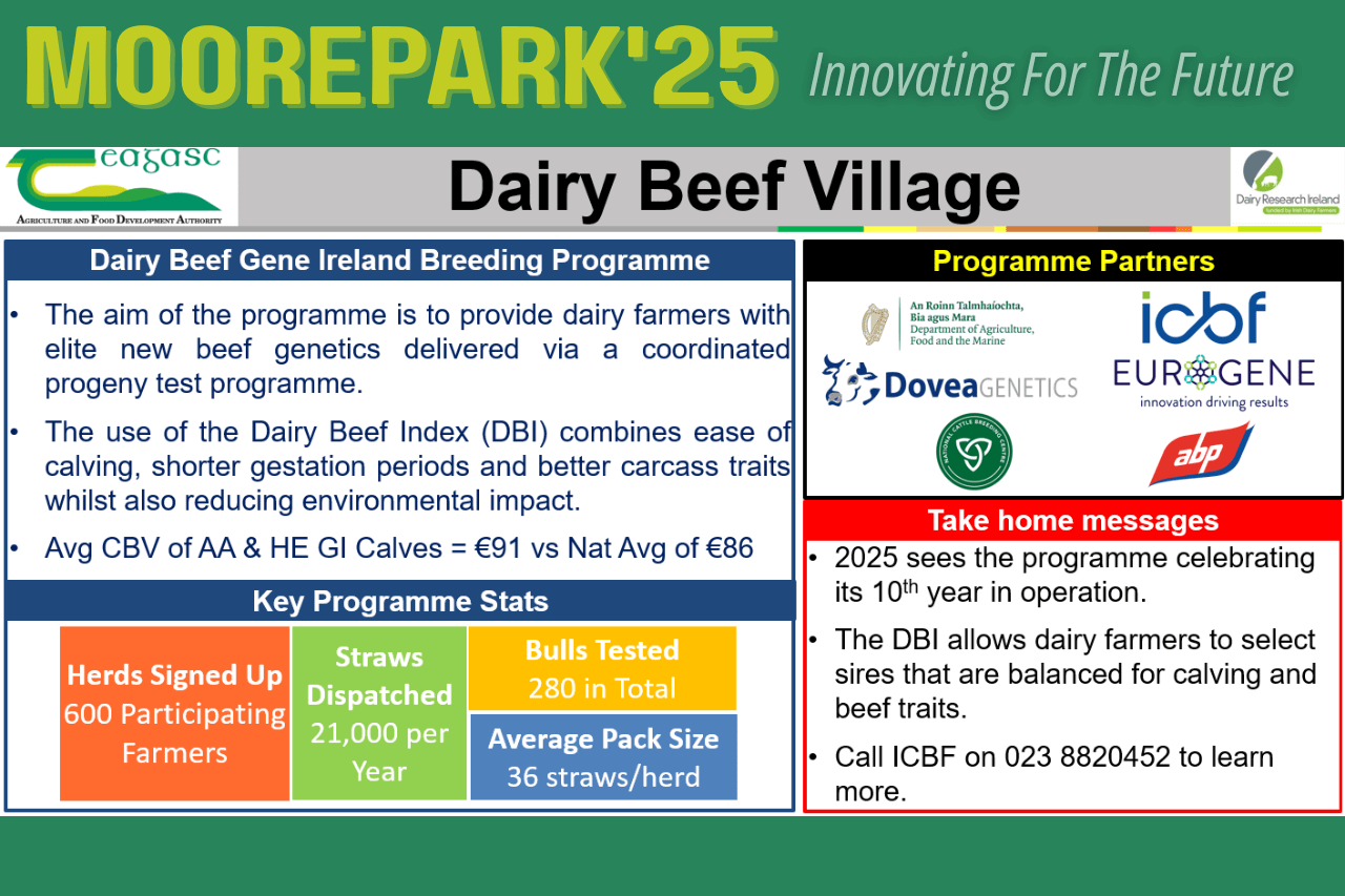 Moorepark Open Day 2025 - Gene Ireland Dairy Beef Programme Overview - ICBF
