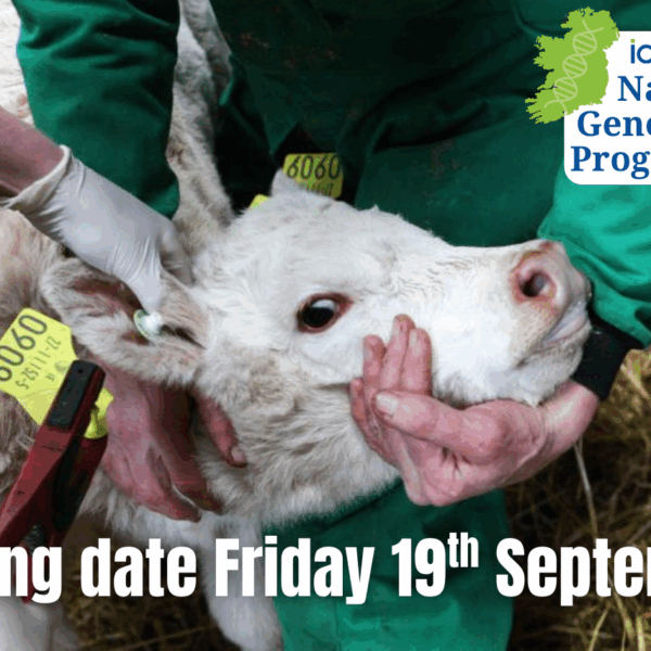 ICBF Animal Search Mobile App - ICBF