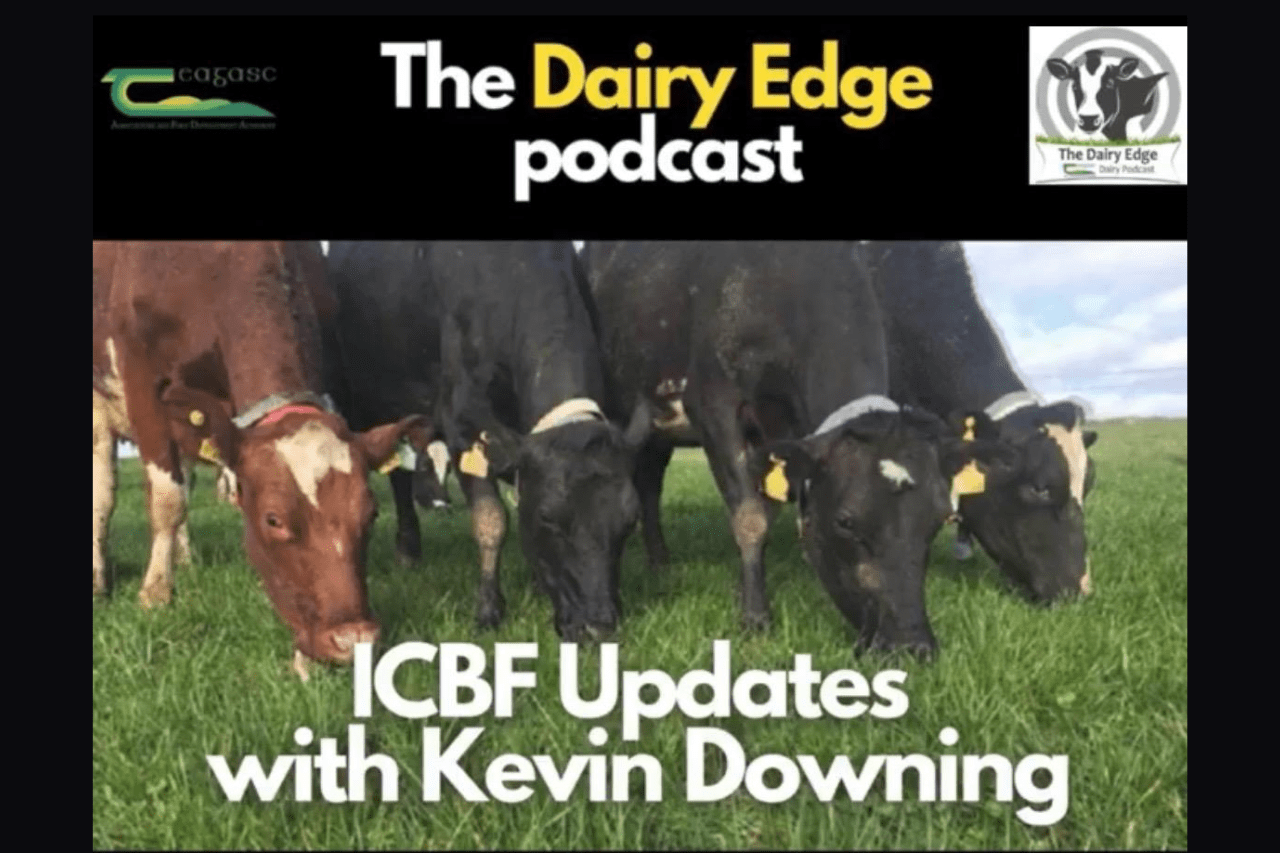 Teagasc Dairy Edge - ICBF updates with Kevin Downing - ICBF