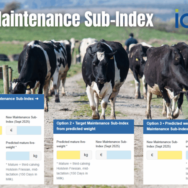ICBF Animal Search Mobile App - ICBF