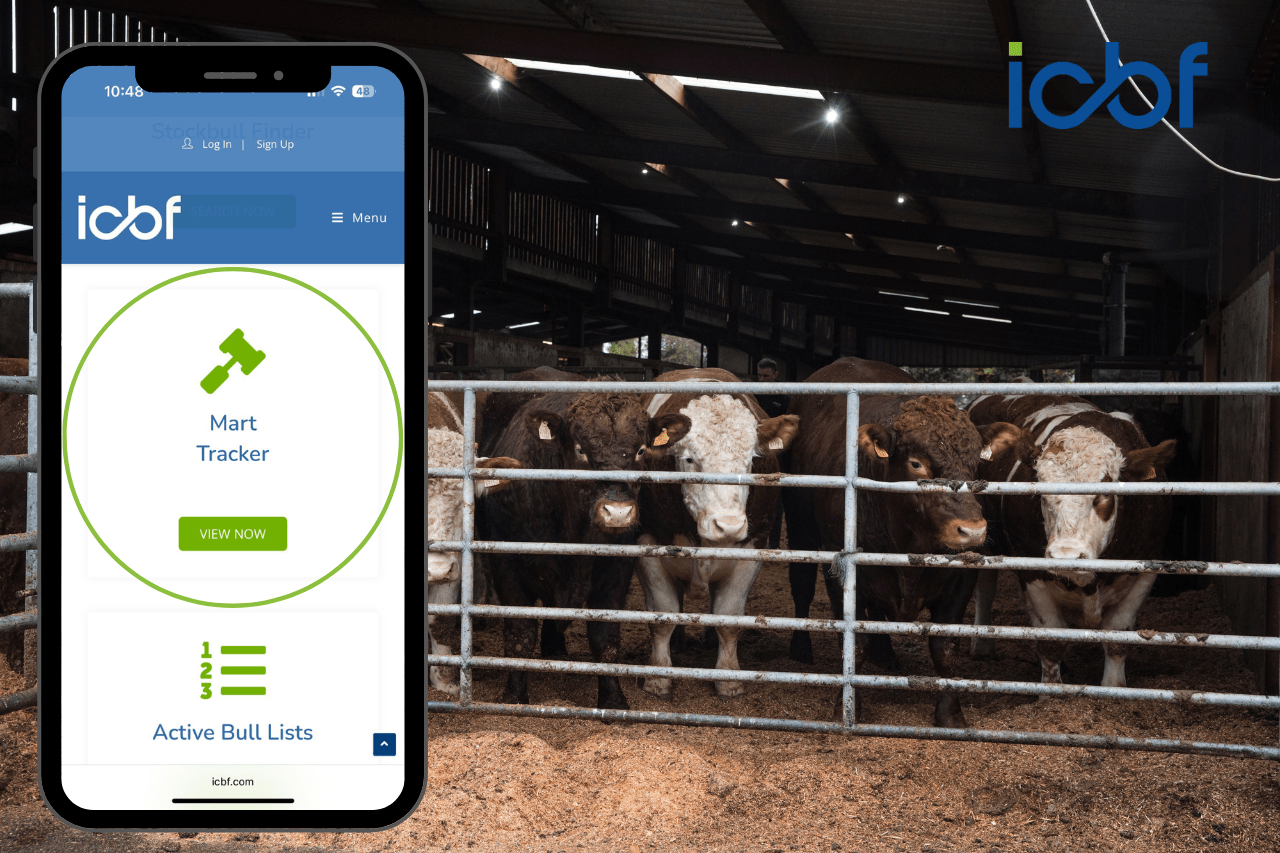 Save Time and Buy Smarter with the ICBF Mart Tracker - ICBF