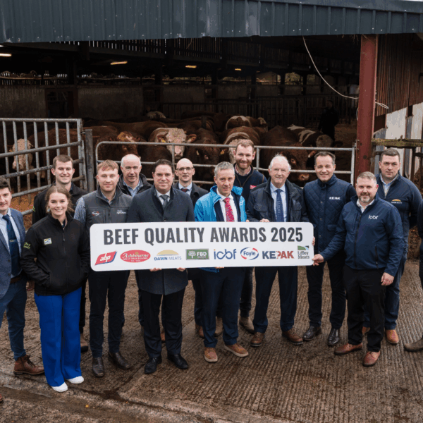 Euro-Star Index Explained - ICBF