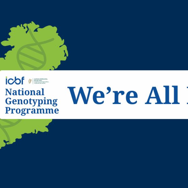 The ICBF Mart Tracker is now live! - ICBF