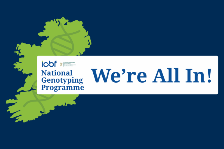 Welcome to ICBF, Ireland's centralised cattle breeding database